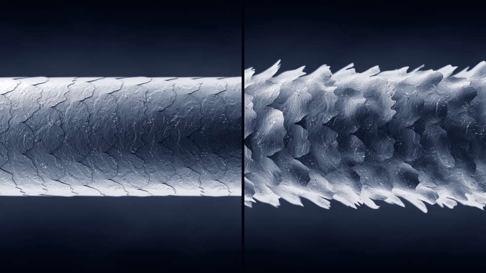 Low vs. High Porosity Hair: Key Differences & Hair Care